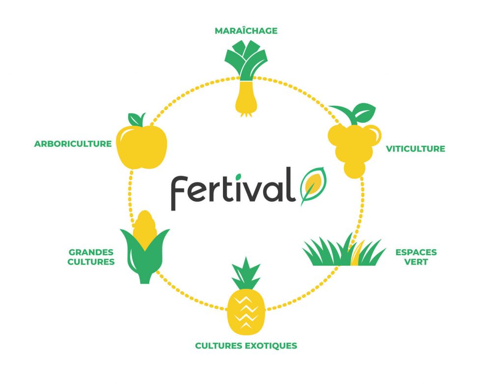 Découvrir l'entreprise - Fertival